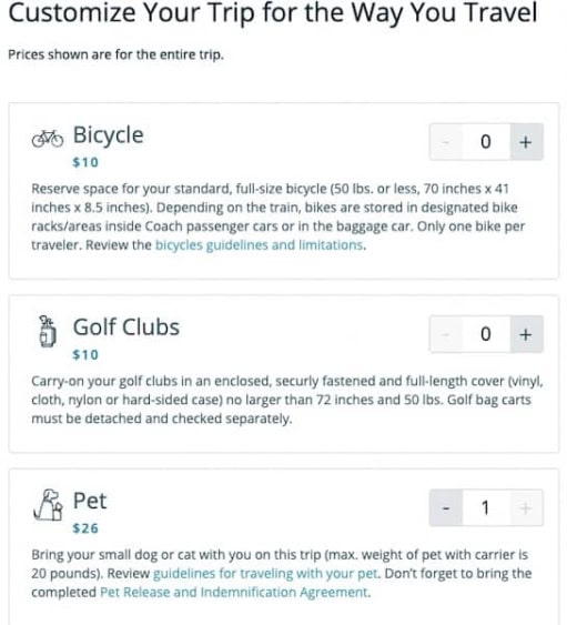 How to Travel with Your Pet on Amtrak - Cruise Maven